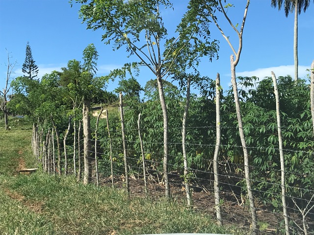 3+ Acres for sale of Unbeatable Land and Views in Cabrera - Discover ...